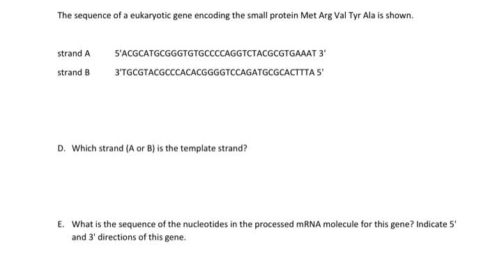 Solved The sequence of a eukaryotic gene encoding the small | Chegg.com