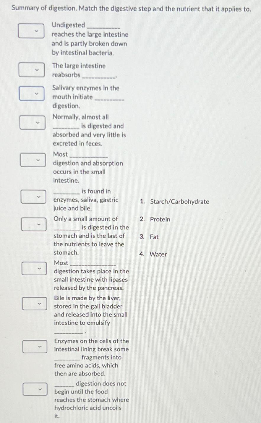 Solved Summary of digestion. Match the digestive step and | Chegg.com