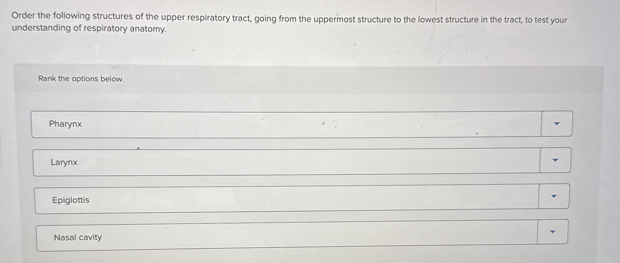 High Quality SOLUTION Order the following structures of the upper | Chegg.com