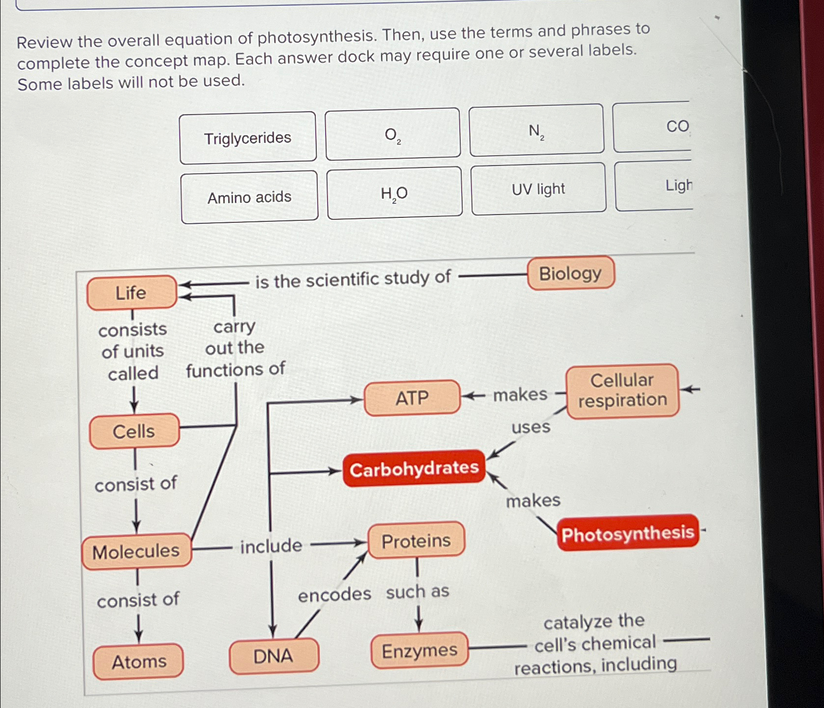 Solved Review the overall equation of photosynthesis. Then, | Chegg.com