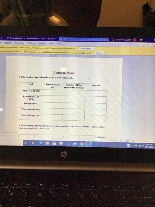 Solved CV Comune Protected ViewSaved to the LE Cel Annabelle | Chegg.com