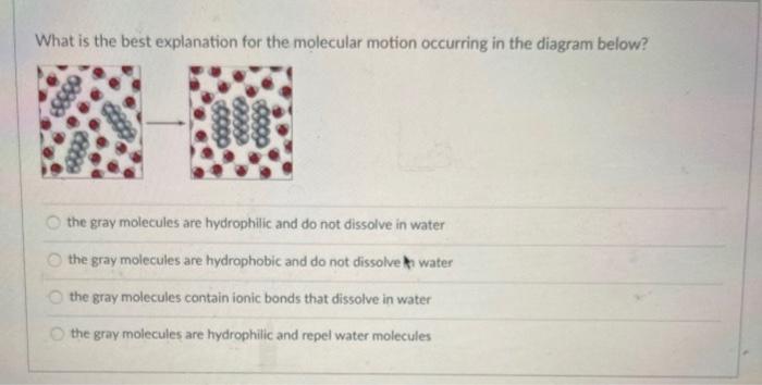 Solved What is the best explanation for the molecular motion | Chegg.com