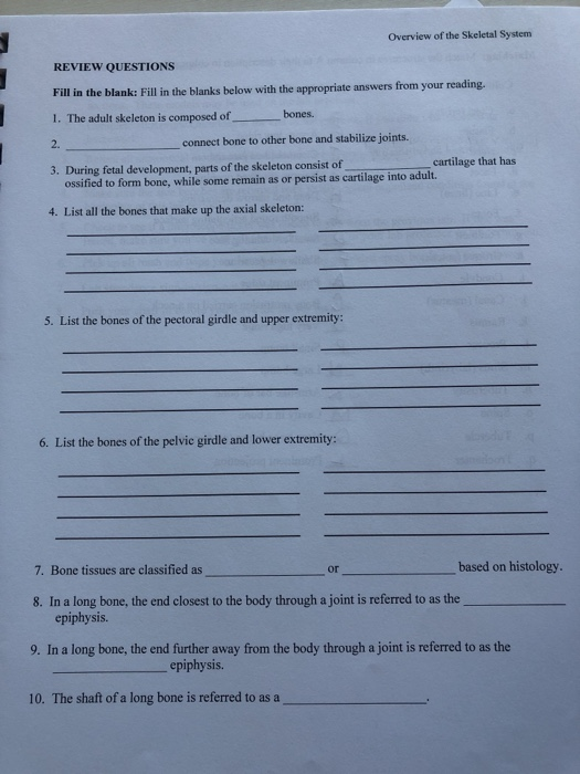 Solved Overview Of The Skeletal System REVIEW QUESTIONS Fill Chegg
