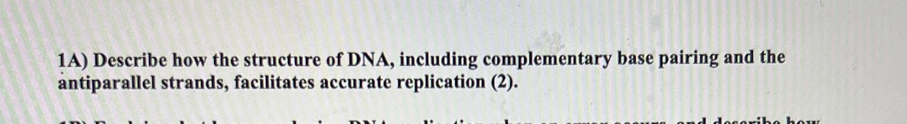 Solved 1A) ﻿Describe how the structure of DNA, including | Chegg.com