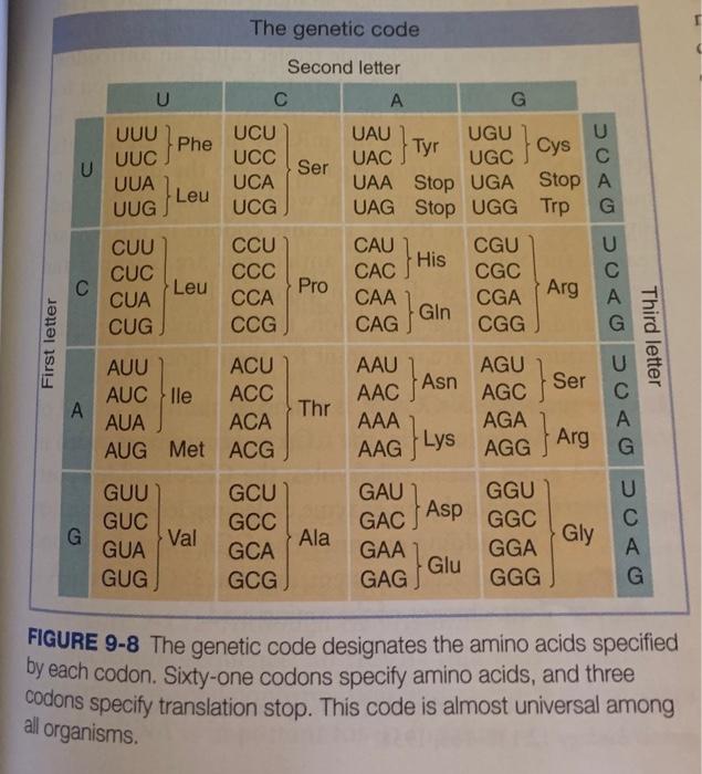 Solved a. Use the codon table in Figure 9-8 to complete the | Chegg.com