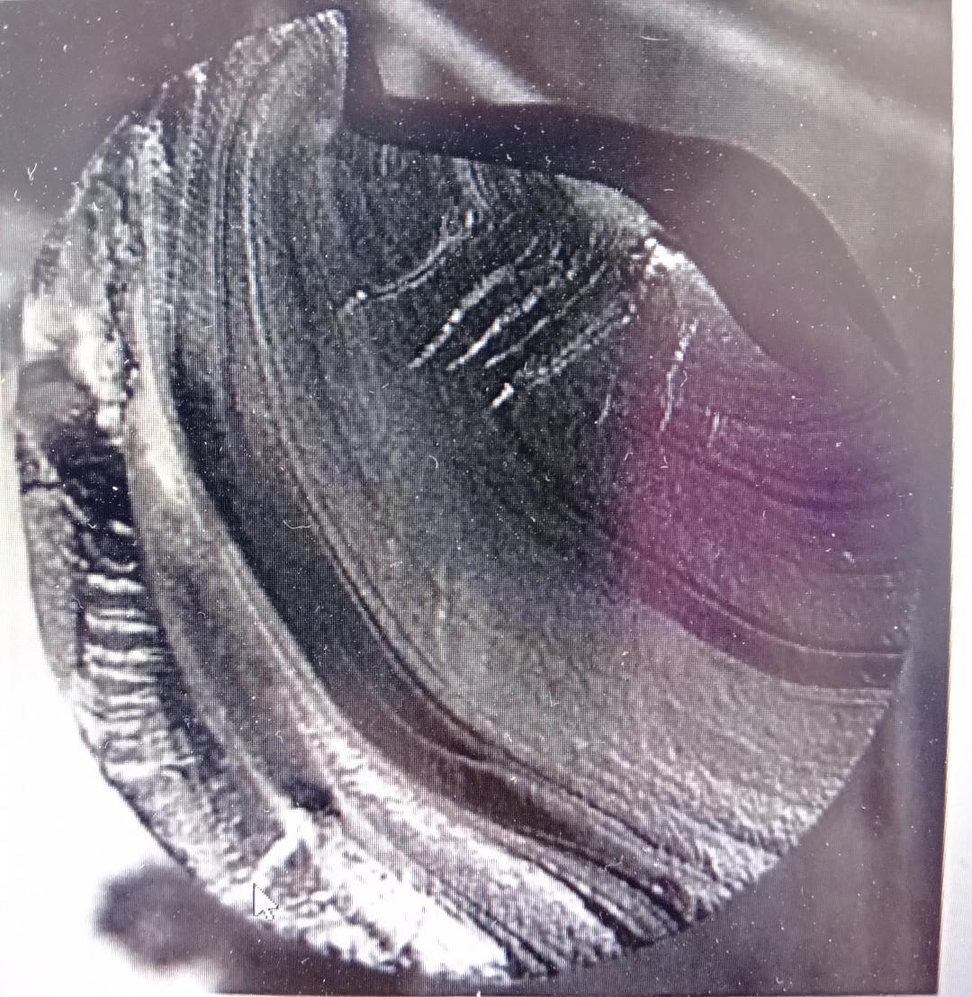 Solved 1. Answer the following questions regarding the image | Chegg.com