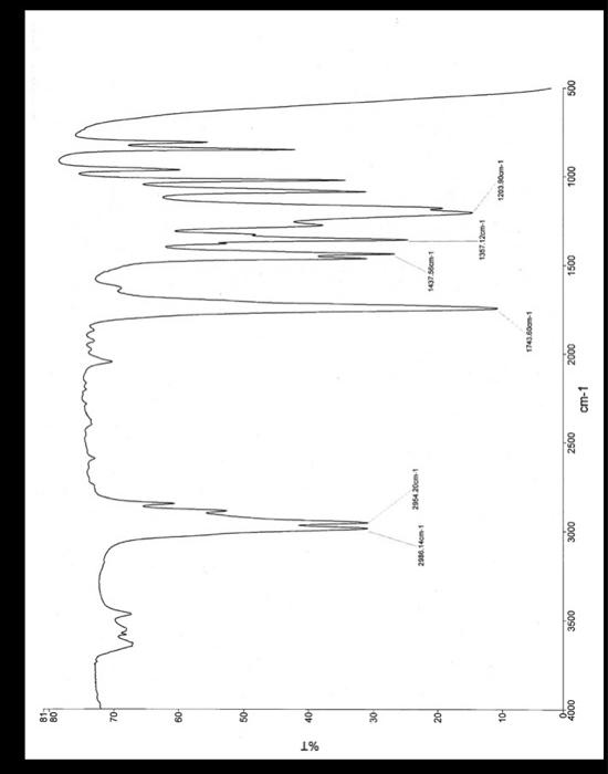 on or ori en & of \& \&2-methylcyclohexanone | Chegg.com