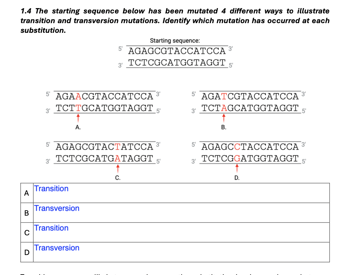Solved 1.4 ﻿The starting sequence below has been mutated 4 | Chegg.com