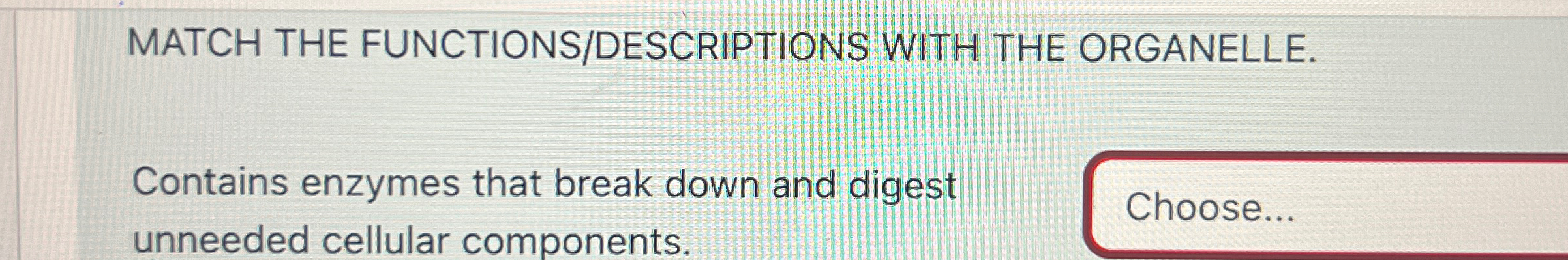 Solved MATCH THE FUNCTIONS/DESCRIPTIONS WITH THE | Chegg.com