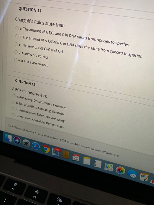 Solved QUESTION 11 Chargaff's Rules state that: a. The | Chegg.com