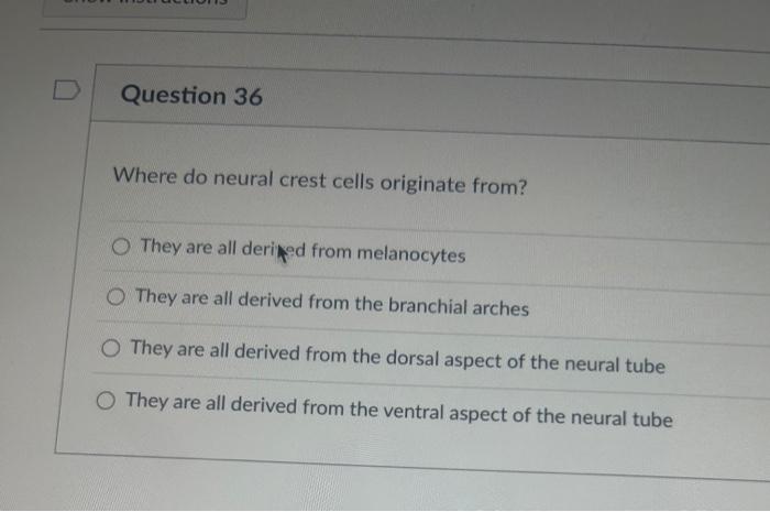 Solved Where do neural crest cells originate from? They are | Chegg.com