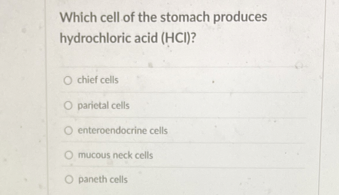 Solved Which cell of the stomach produces hydrochloric acid | Chegg.com