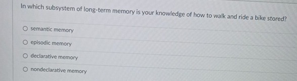 Solved In which subsystem of long-term memory is your | Chegg.com