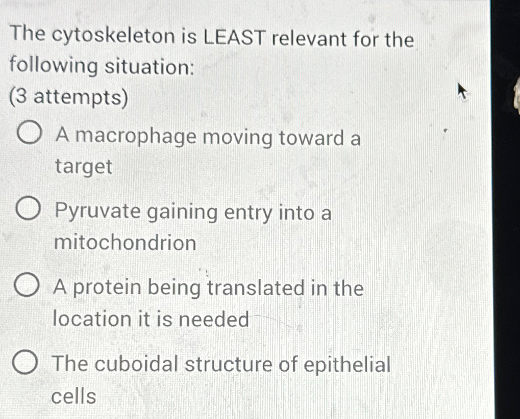 Solved The cytoskeleton is LEAST relevant for the following | Chegg.com