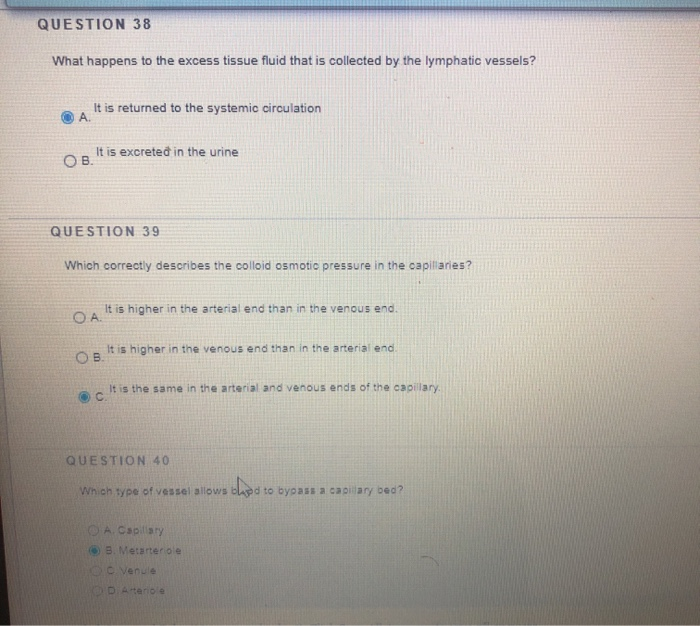Solved QUESTION 38 What happens to the excess tissue fluid | Chegg.com