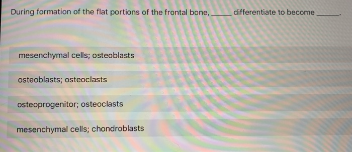 Solved During formation of the flat portions of the frontal | Chegg.com
