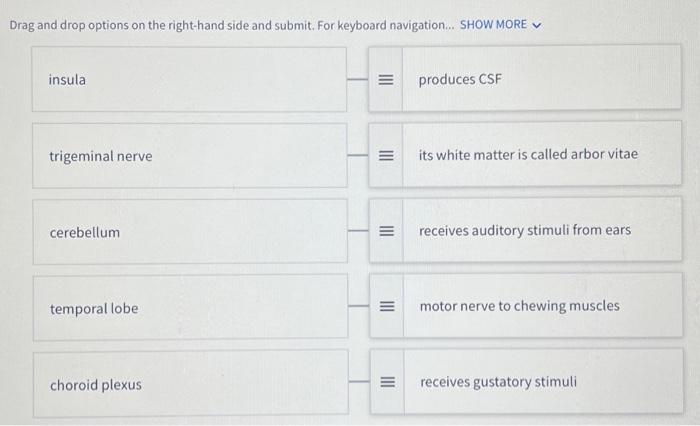 Solved Drag and drop options on the right-hand side and | Chegg.com