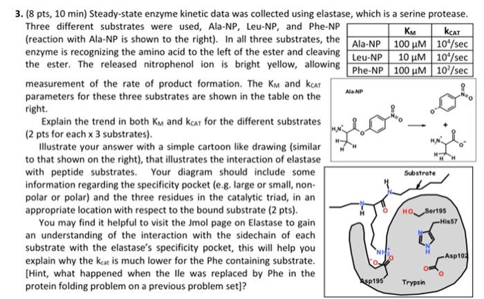 Solved 3. (8 pts, 10 min ) Steady-state enzyme kinetic data | Chegg.com