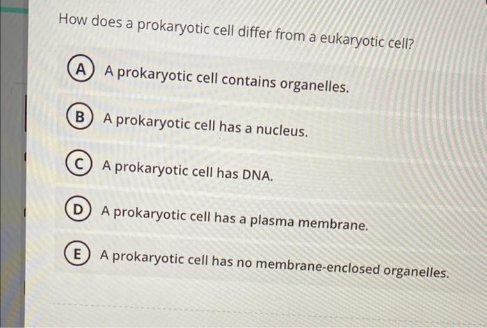 Solved How does a prokaryotic cell differ from a eukaryotic | Chegg.com
