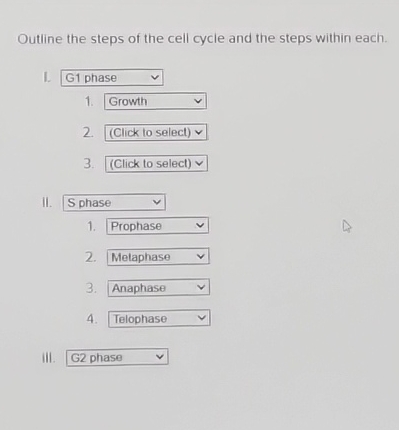 Solved Outline the steps of the cell cycle and the steps | Chegg.com
