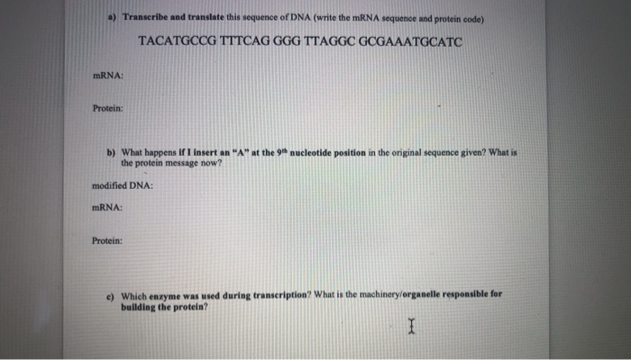 Solved a) Transcribe and translate this sequence of DNA | Chegg.com