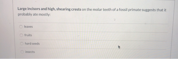Solved An intermembral index of around 100 tells you that: | Chegg.com