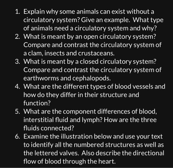 Solved 1. Explain why some animals can exist without a | Chegg.com