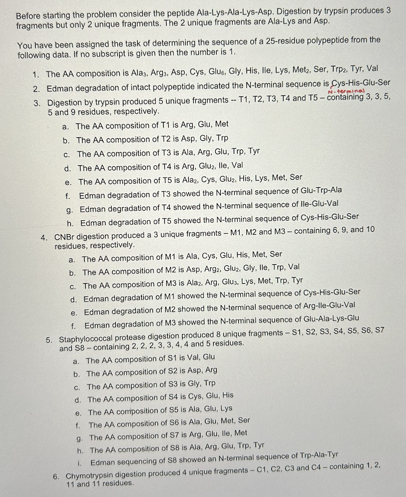 Solved Before starting the problem consider the peptide | Chegg.com