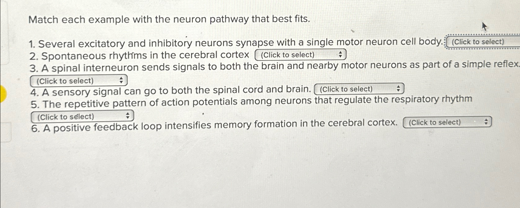 Solved Match each example with the neuron pathway that best | Chegg.com