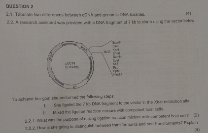 Solved QUESTION 22.1. ﻿Tabulate two differences between cDNA | Chegg.com