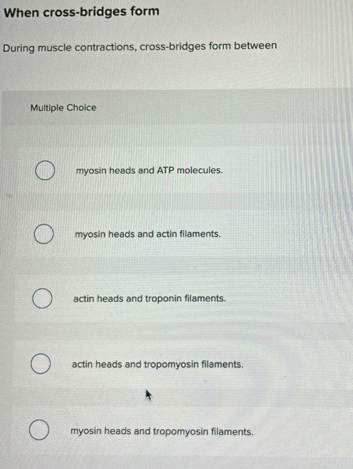 Solved When cross-bridges formDuring muscle contractions, | Chegg.com