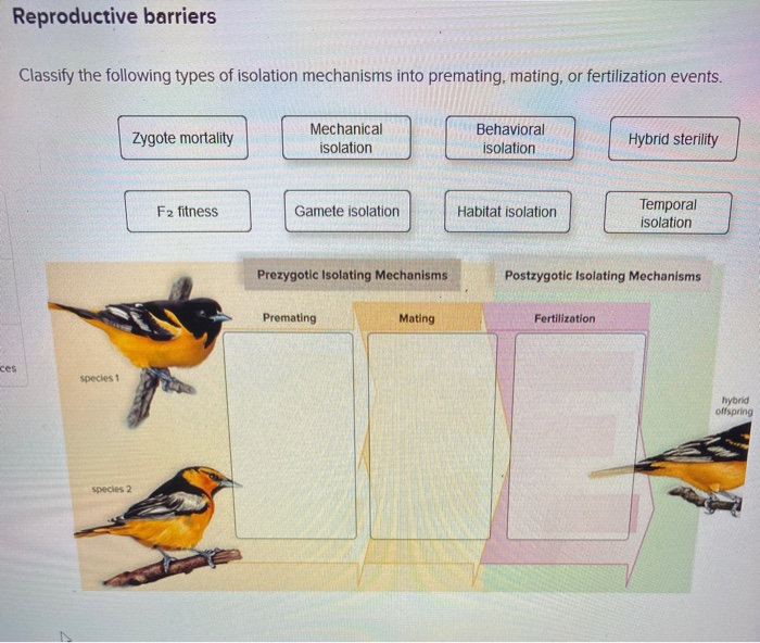 Solved Reproductive barriers Classify the following types of | Chegg.com