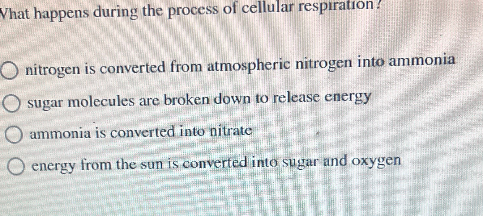 Solved What happens during the process of cellular | Chegg.com