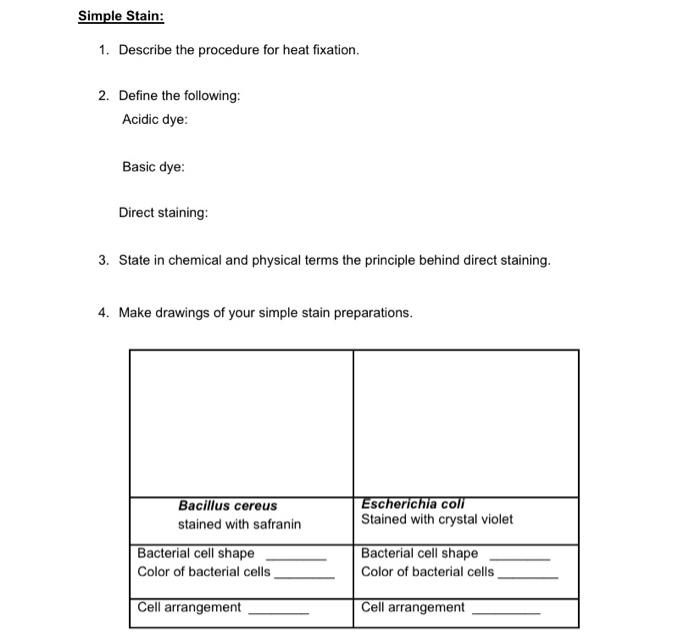 Solved Simple stain Q. 4: Make drawings of your simple stain | Chegg.com