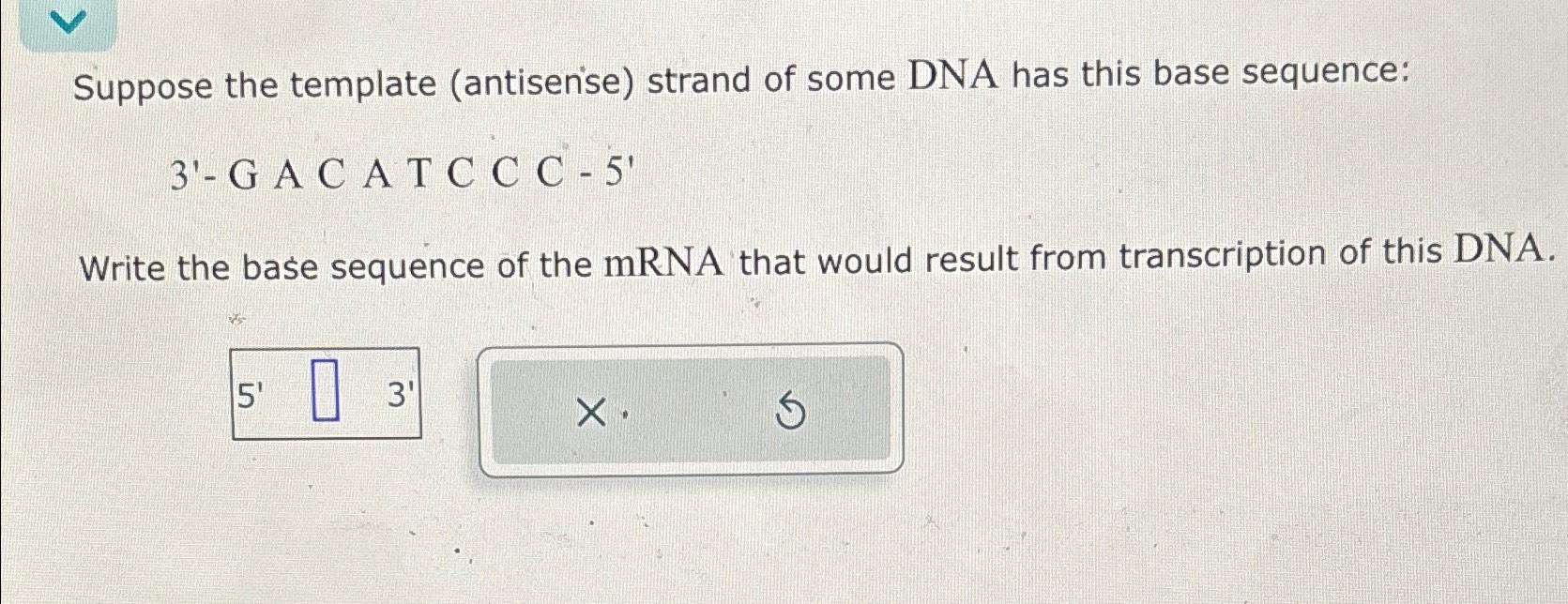 Solved Suppose the template (antisenise) ﻿strand of some DNA | Chegg.com
