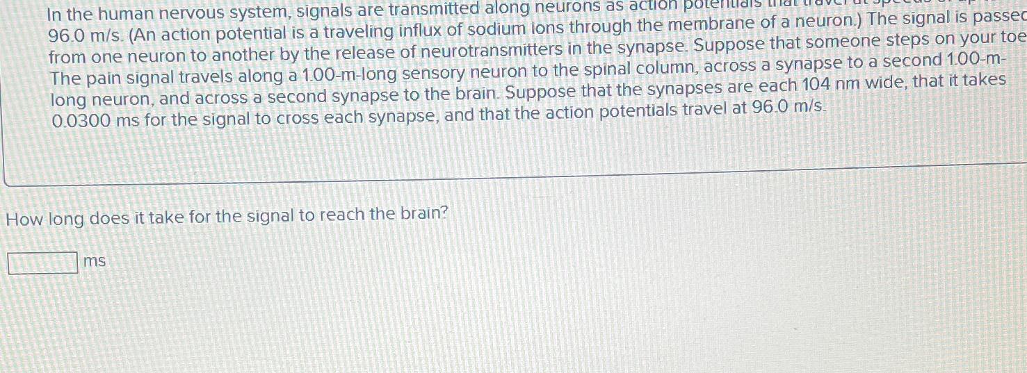 Solved In the human nervous system, signals are transmitted | Chegg.com