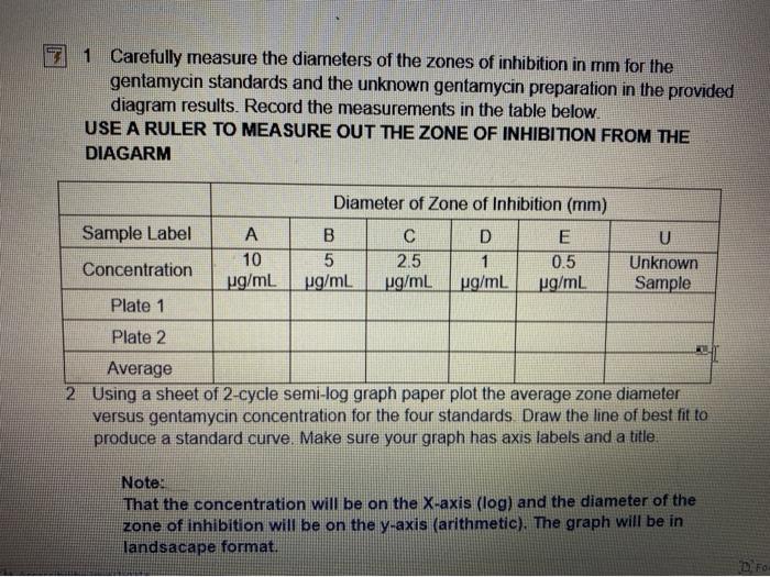 Solved 2 1 Carefully measure the diameters of the zones of | Chegg.com