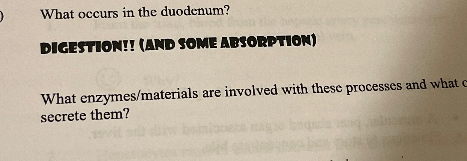 Solved What occurs in the duodenum?DICESTLONI! (AND SOMLE | Chegg.com