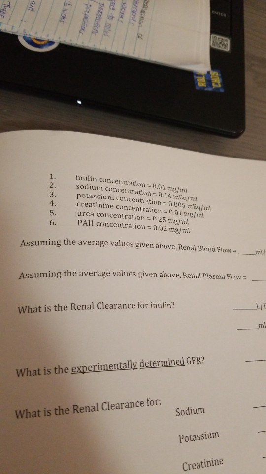 Solved Real Clearance Renal Blood Flow (RBF) Renal Plasma | Chegg.com