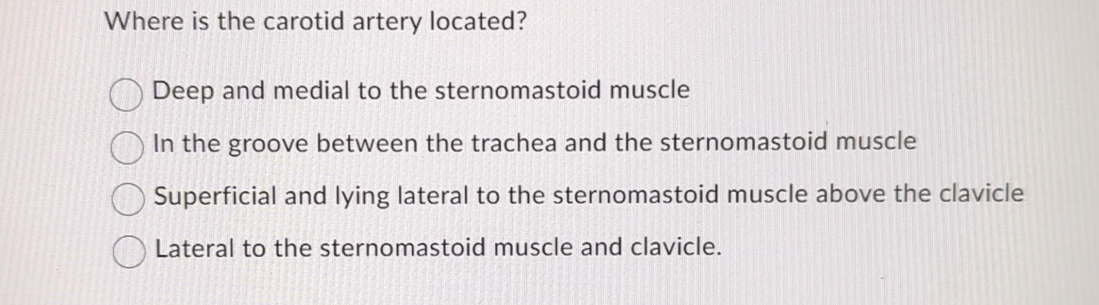 Where is the carotid artery located?Deep and medial | Chegg.com