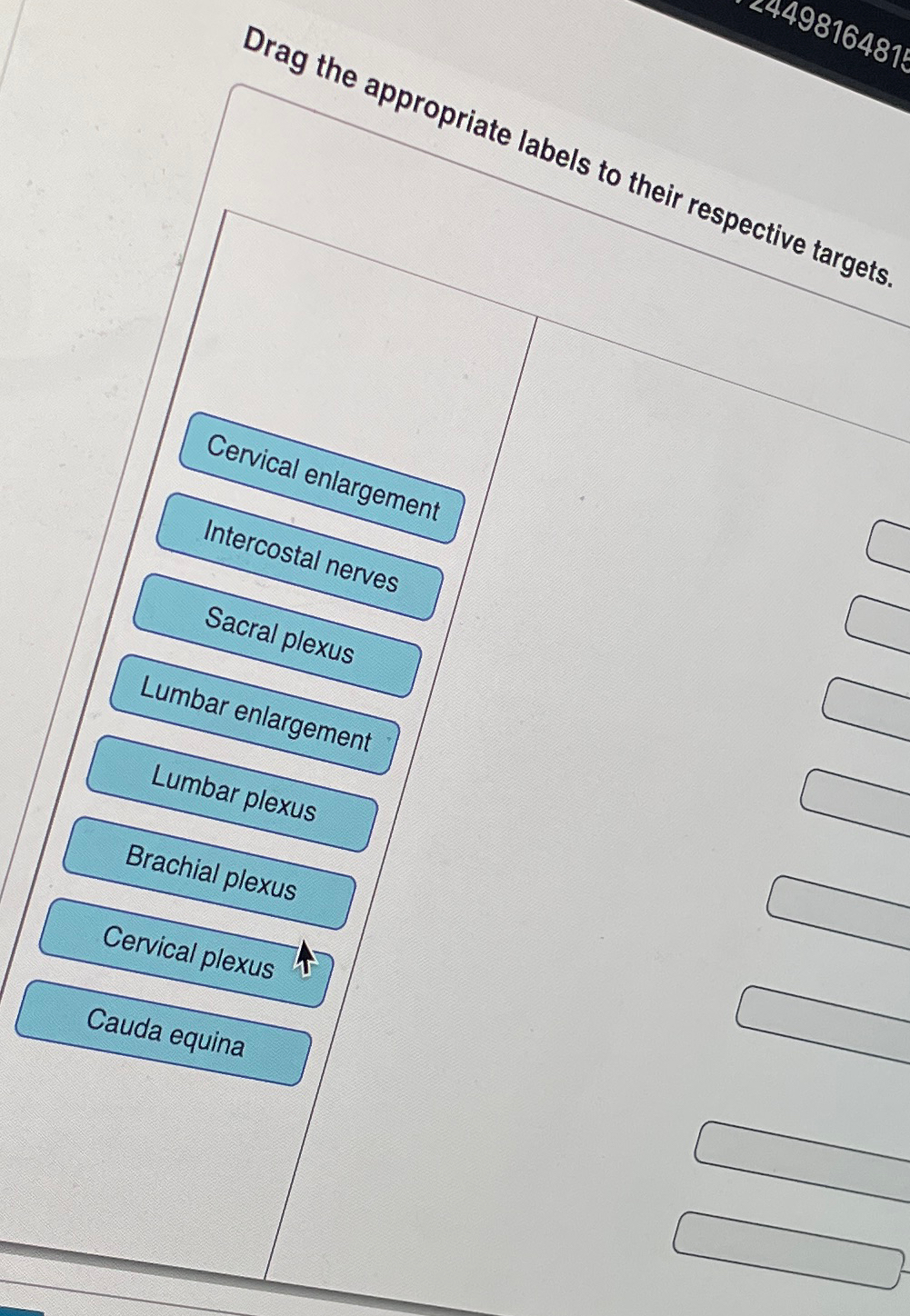 Solved Drag the appropriate labels to their respective | Chegg.com