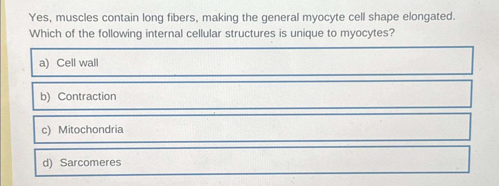 Solved Yes, muscles contain long fibers, making the general | Chegg.com