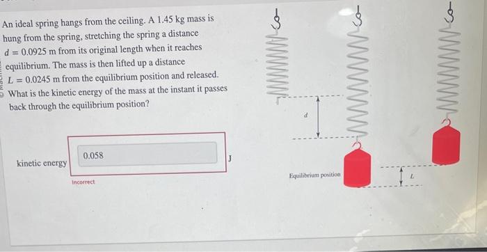 Solved An ideal spring hangs from the ceiling. A 1.45 kg | Chegg.com