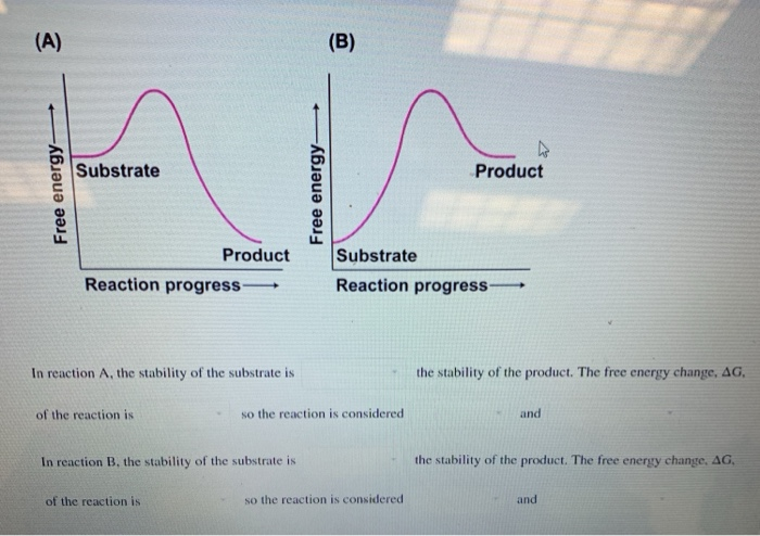 Solved Substrate Product Free energy- Free energy- Product | Chegg.com
