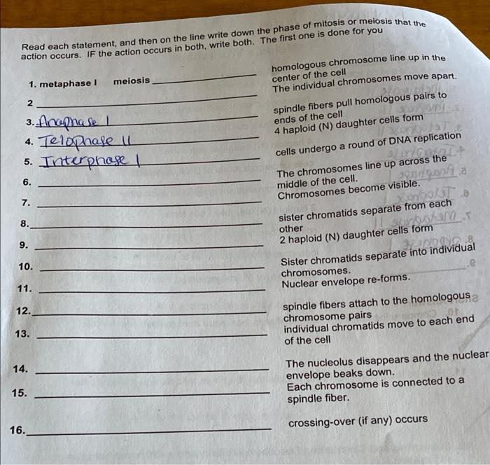 Solved Read each statement, and then on the line write down | Chegg.com