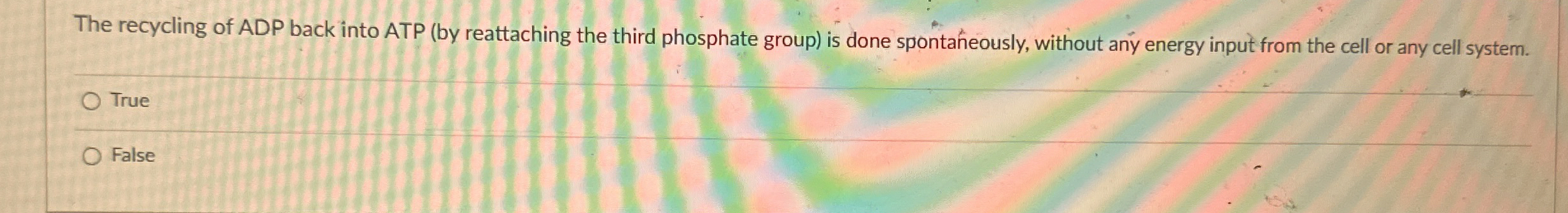 Solved The recycling of ADP back into ATP (by reattaching | Chegg.com