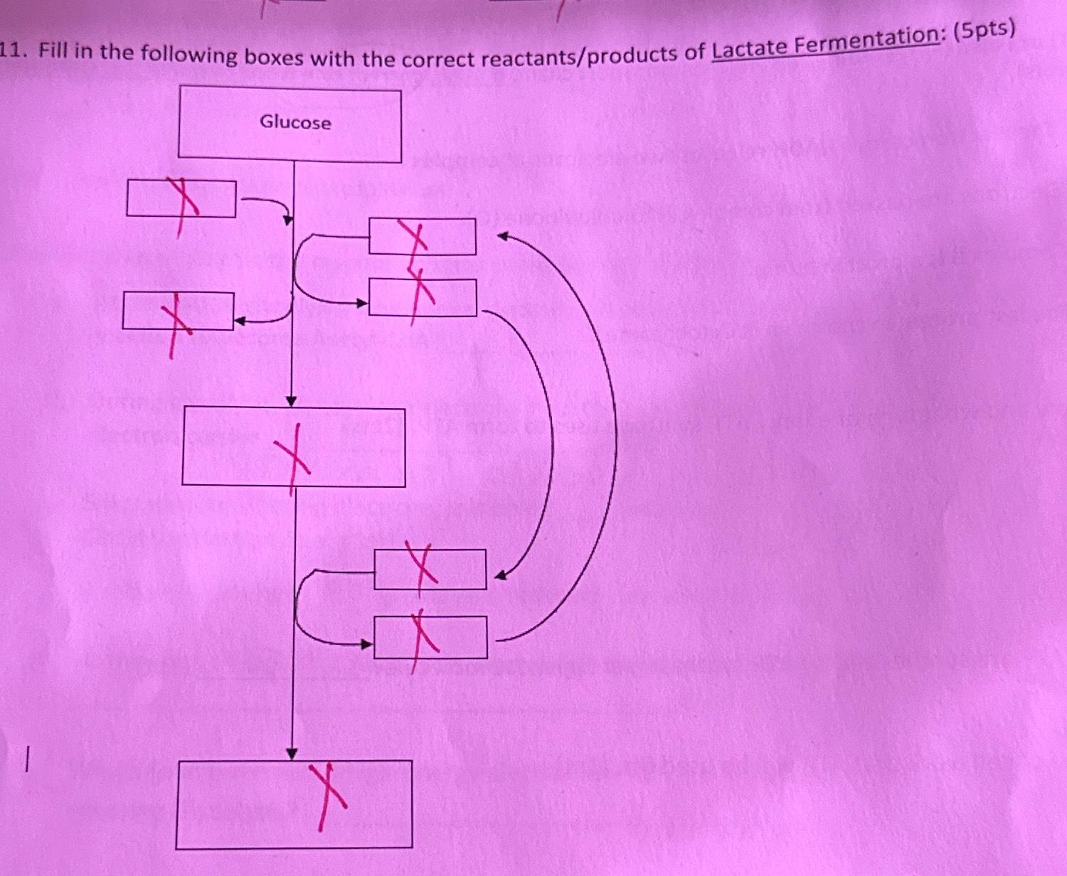 Solved Fill in the following boxes with the correct | Chegg.com