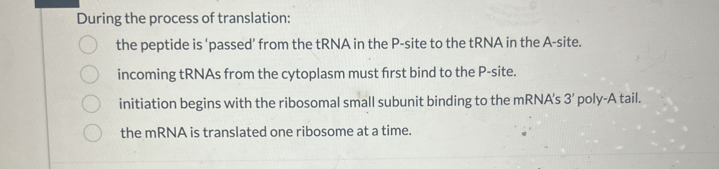 Solved During the process of translation:the peptide is | Chegg.com