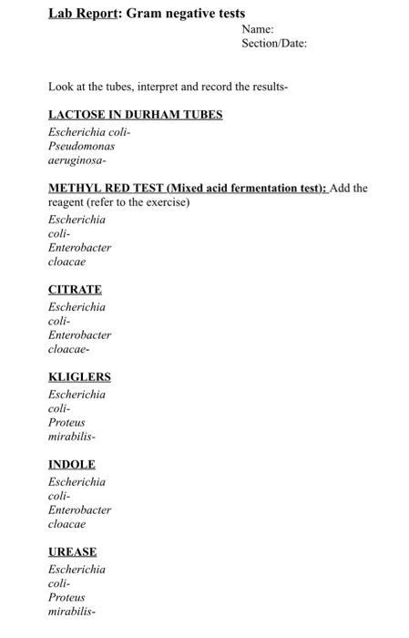 Solved Lab Report: Gram negative tests Name: Section/Date: | Chegg.com