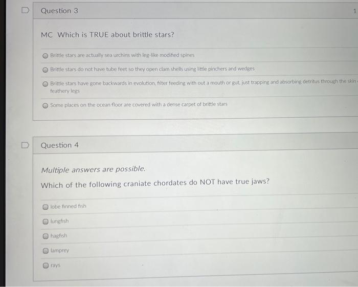 Solved Question 3 1 MC Which is TRUE about brittle stars? | Chegg.com